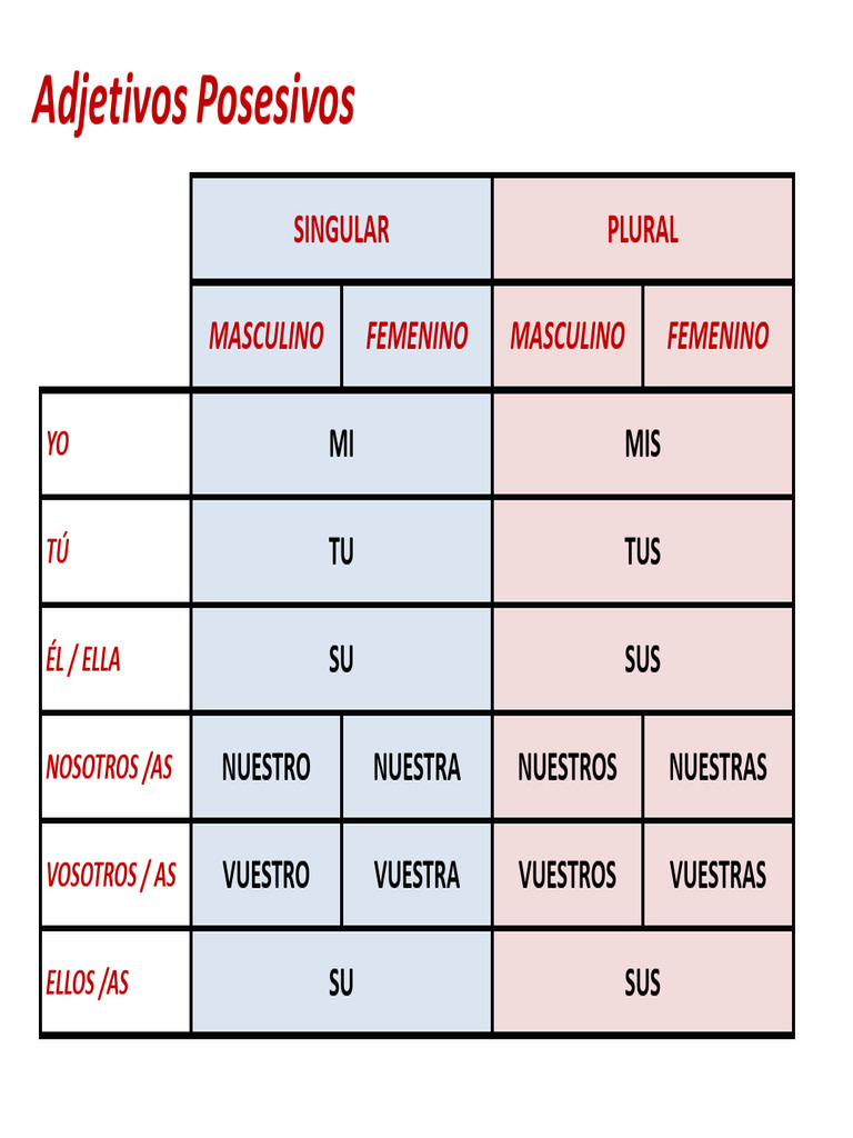 Adjetivos Posesivos: Masculino y Femenino | PDF