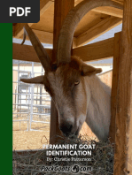 Your Goats Normal Vital Signs Fudetb | PDF | Goat | Thermoregulation