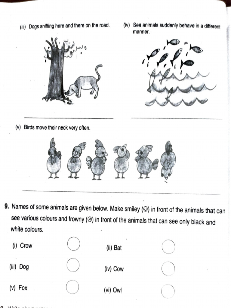 OBE-B (Normal) Evs 2 Final 2023-2024 | PDF