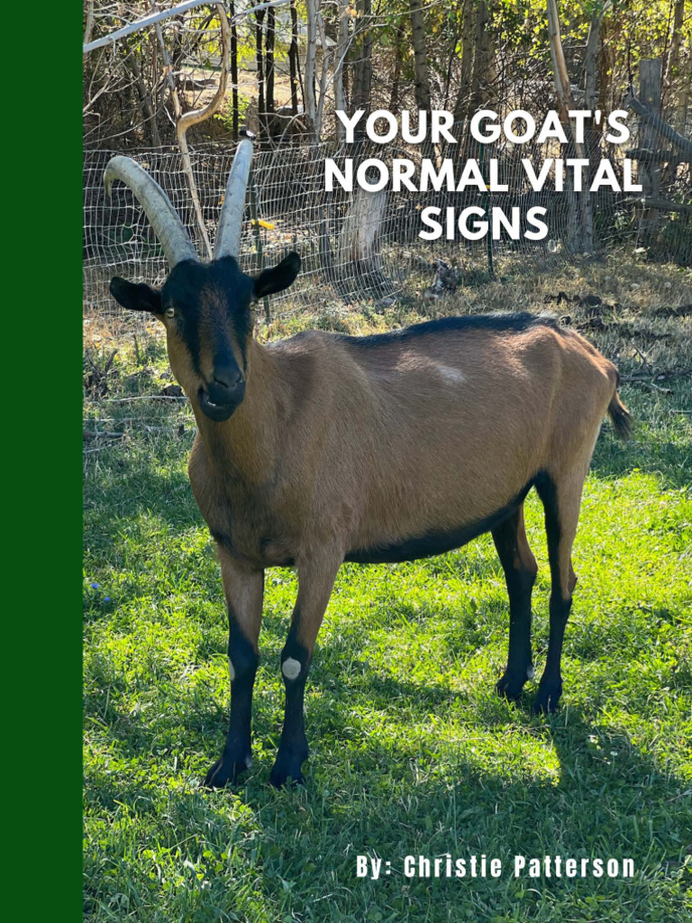 Your Goats Normal Vital Signs Fudetb | PDF | Goat | Thermoregulation