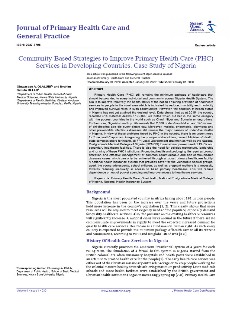 Improving PHC in Nigeria: Strategies and Needs | PDF | Health Care ...
