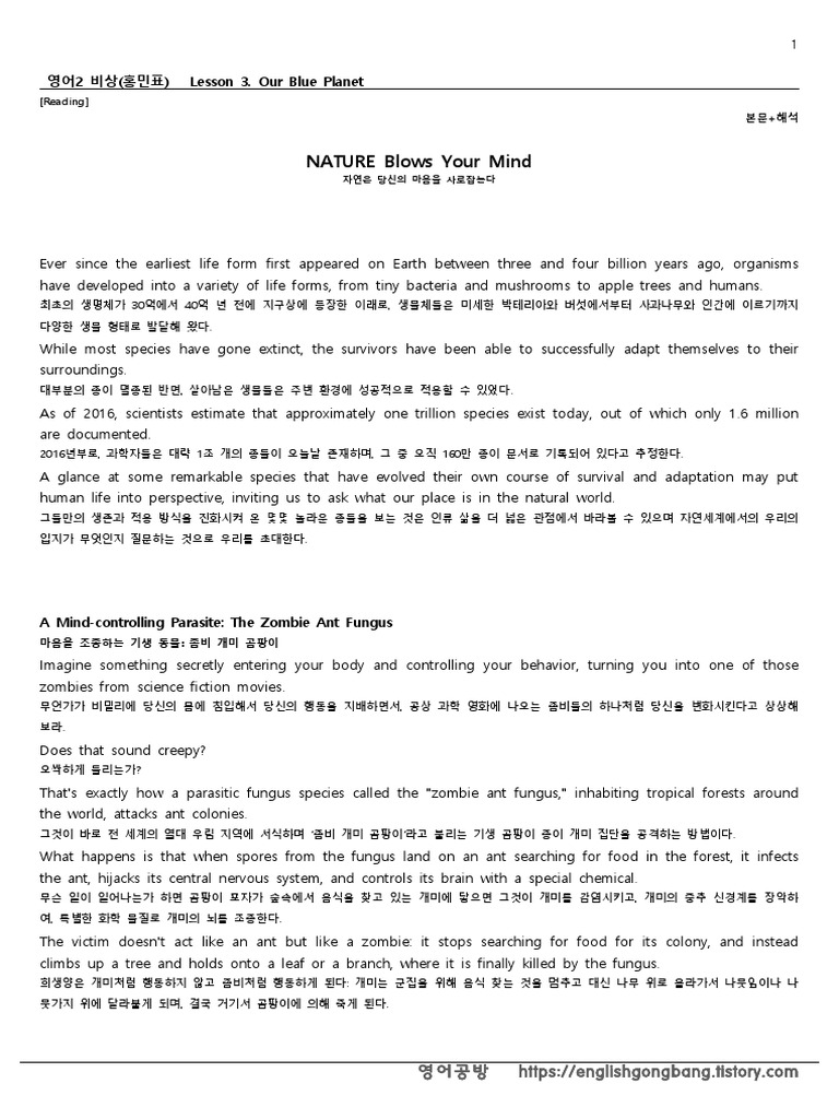 E2 VS L3 해석 | PDF