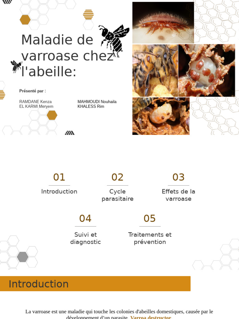 La Varroase 2 | PDF | Apis (insecte) | Apiculture