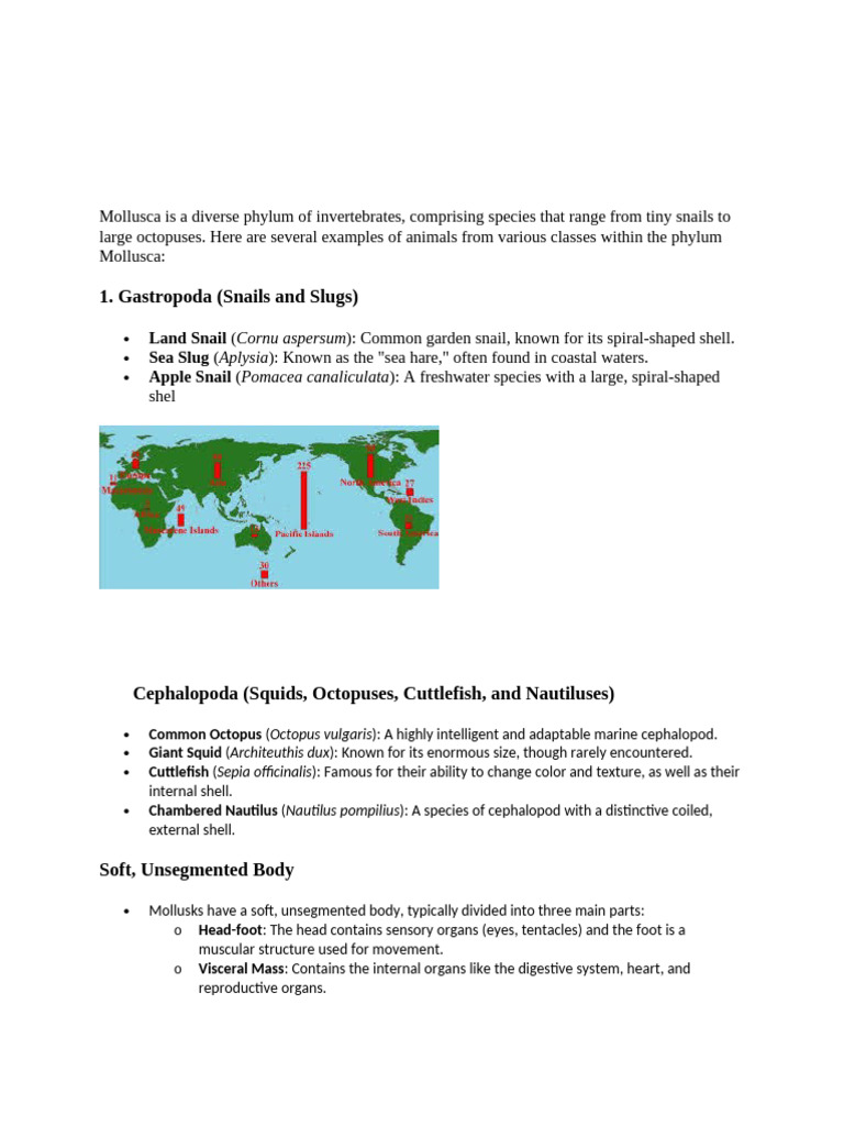 Mollusca Is A Diverse Phylum of Invertebrates | PDF