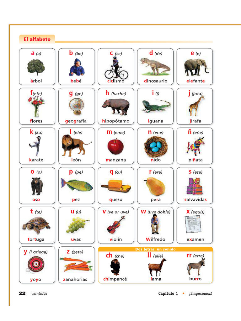 Documento Codificado para Análisis | PDF