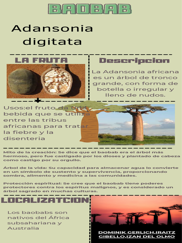 Green Brown Monstera Plant Fun Facts Infographic PDF | PDF