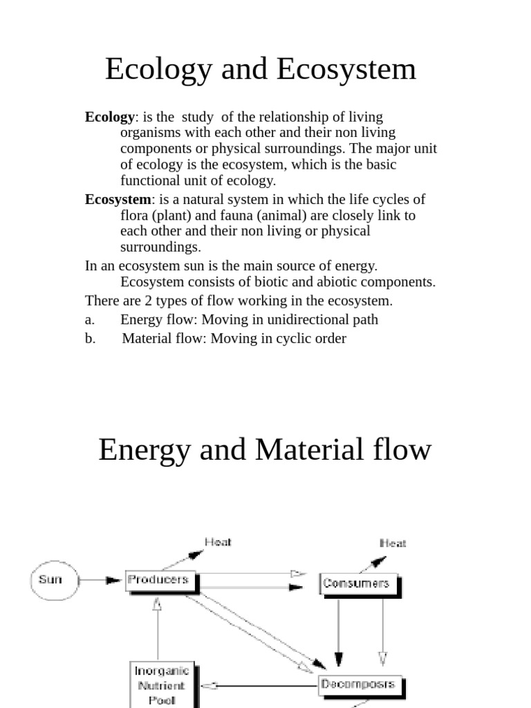 Understanding Ecology and Ecosystems | PDF | Ecosystem | Ecology