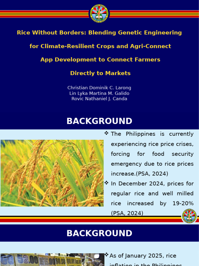 Stemazing SHS - Gigaquit | PDF | Agriculture | Rice