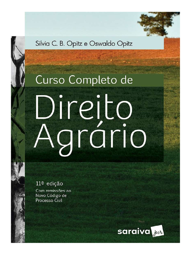 Capítulo Usucapiao Rural | PDF