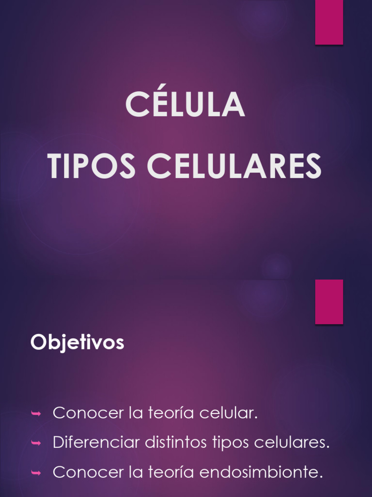 Tipos de Células y Teoría Celular | PDF | Biología Celular) | Eucariotas