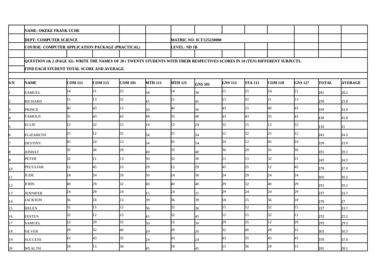 PG 32 - Computer Application Package-Practical Work Two | PDF