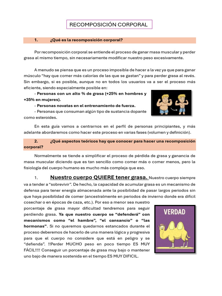 GUIA PROGRAMACIÓN RECOMPOSICION CORPORAL | PDF | Leptina | Insulina