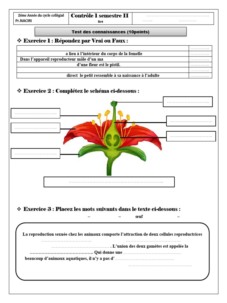Évaluation sur la reproduction humaine CM2 | PDF | Fécondation | Mâle