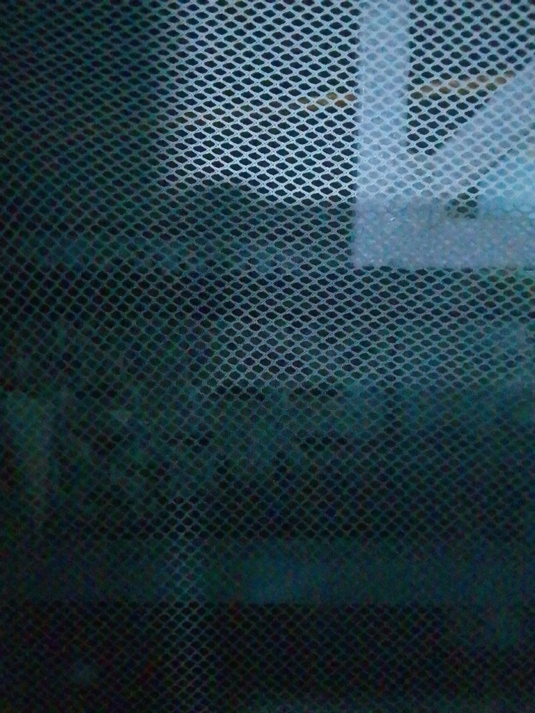 Scanned 20250305 193826 | PDF