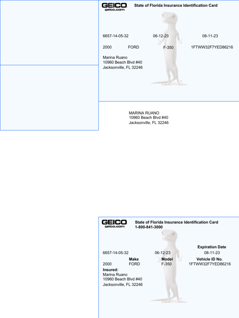 GEICO Insurance Policy ID Card Details | PDF | Insurance