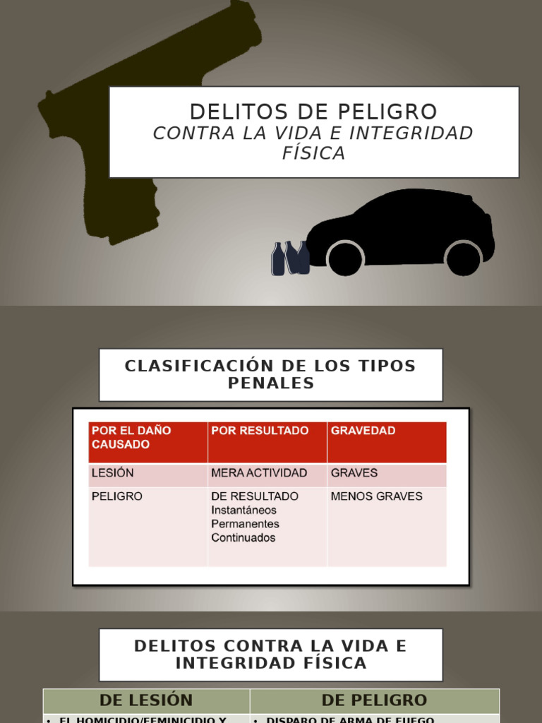 Delitos de Peligro Contra La Vida e Integridad Fisica | PDF | Homicidio | Castigos