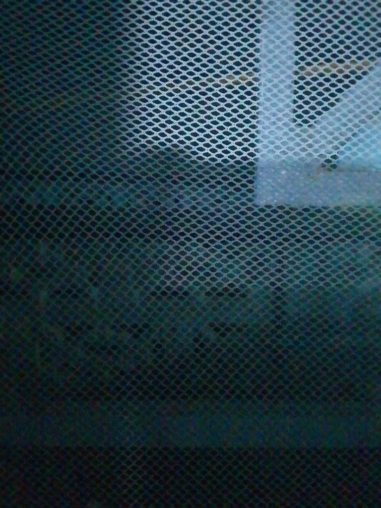 Scanned_20250305_195226 | PDF