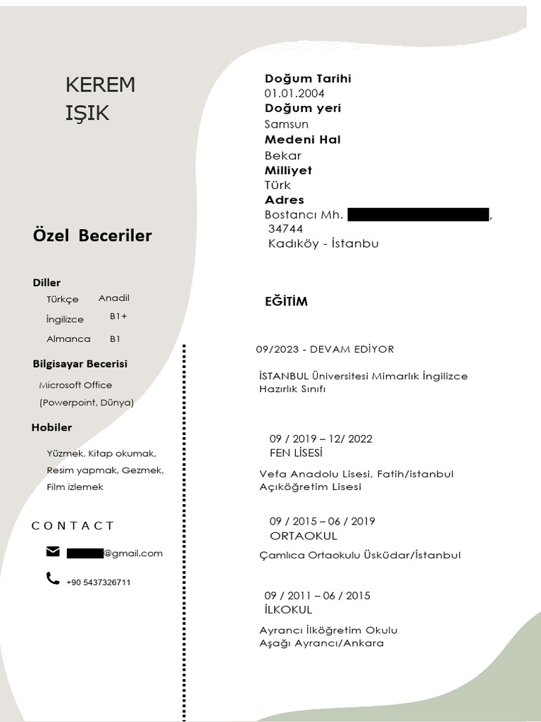 Örnek Türkçe CV-Eğitim Lisans | PDF