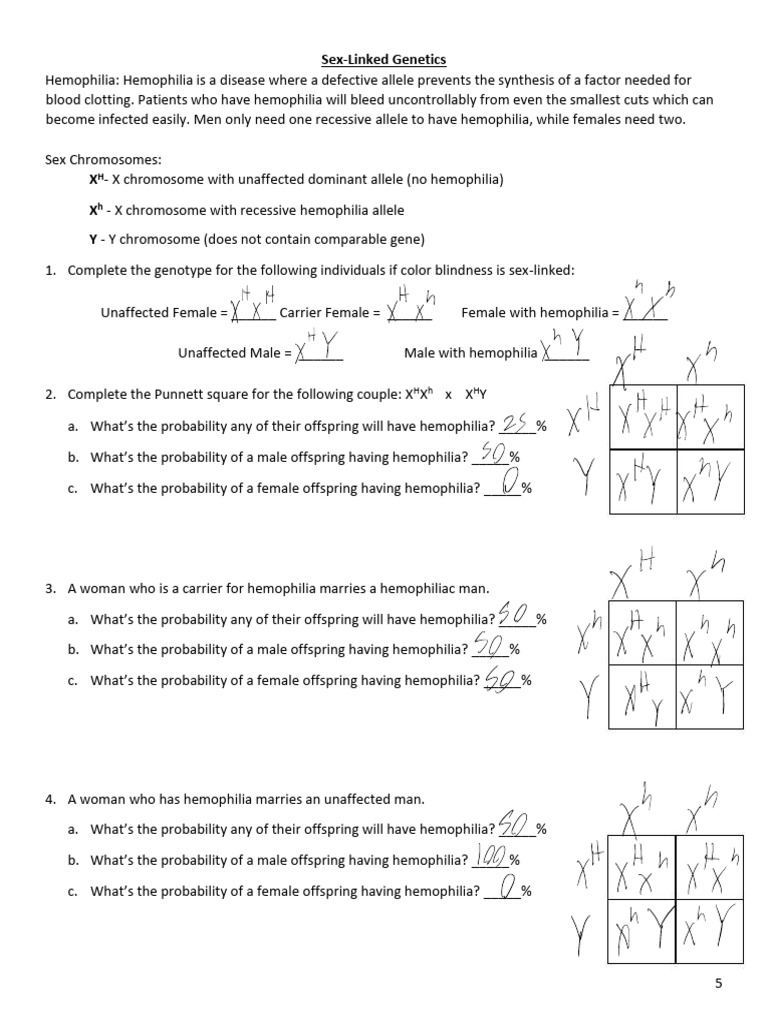 Sex Linked Traits WS | PDF | Haemophilia | Dominance (Genetics)