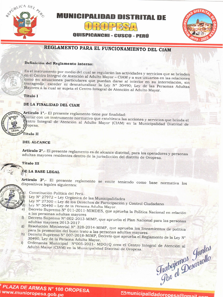 Reglamento para Funcionamiento Del Ciam | PDF