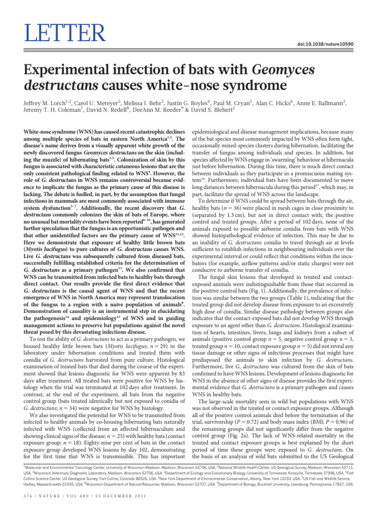 Lorch Et Al 2011 - Experimental Infection of Bats With Geomyces ...