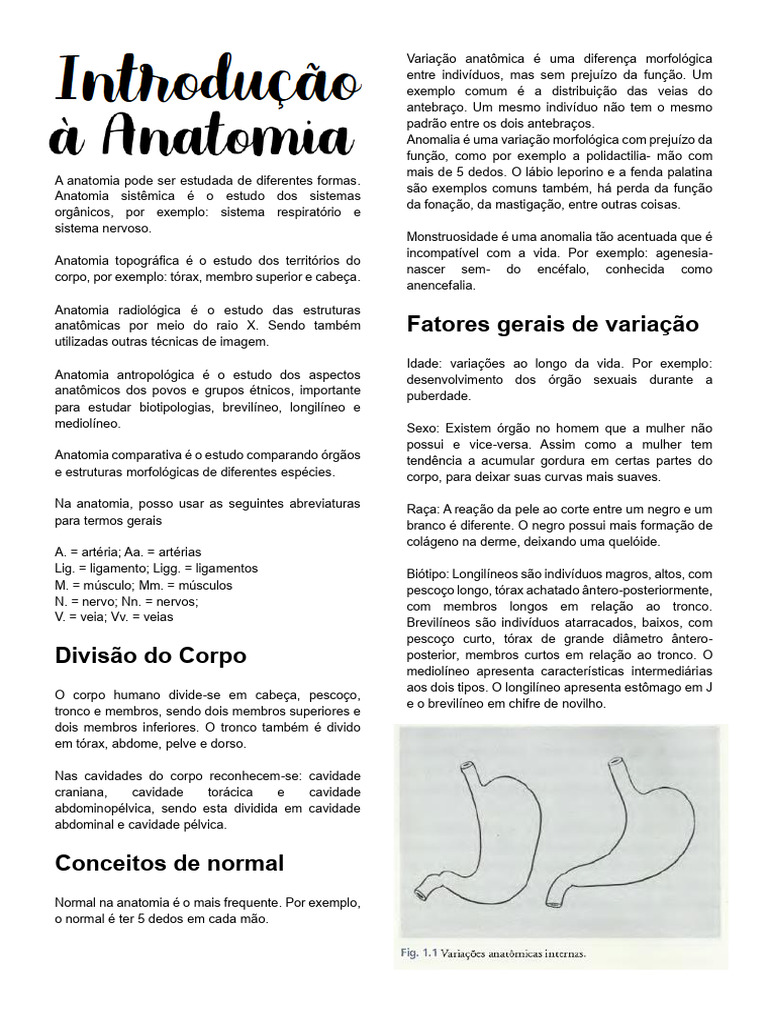 Resumo - Introdução à Anatomia | PDF | Anatomia | Corpo humano