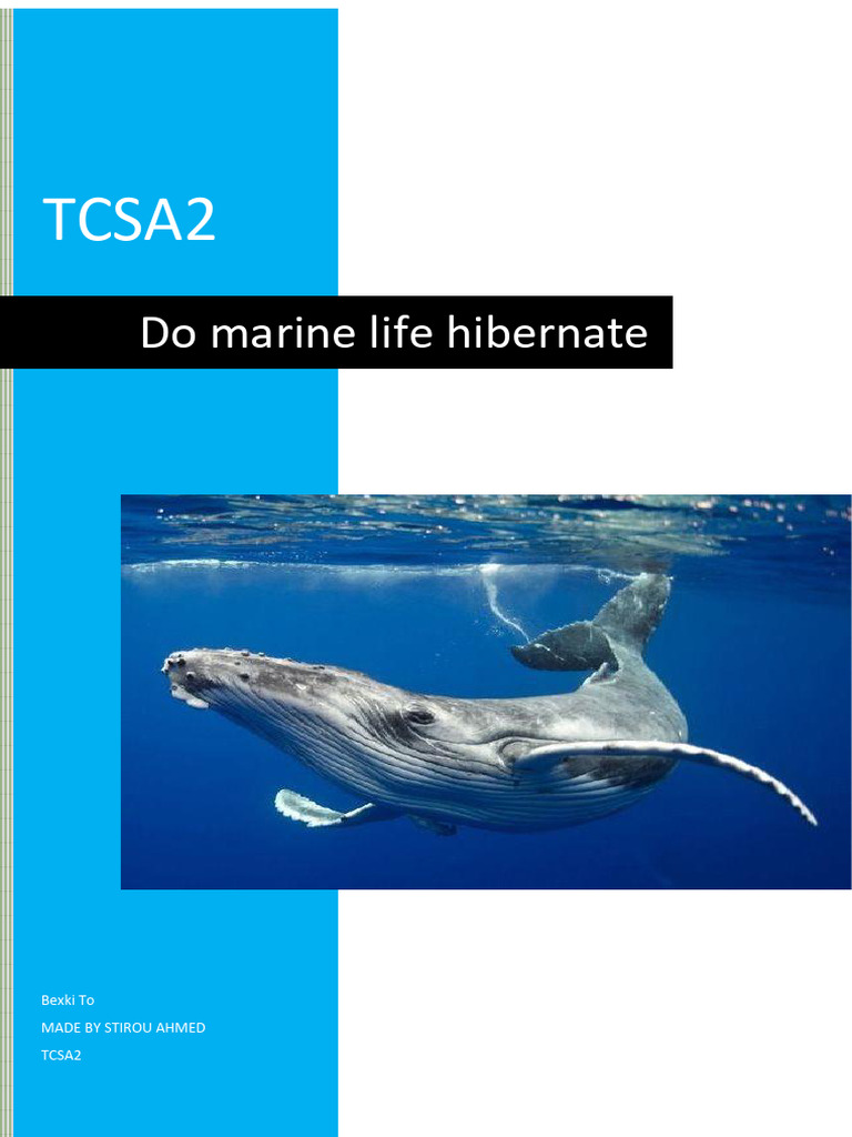 Do Marine Animals Hibernate? | PDF | Botany | Earth Sciences