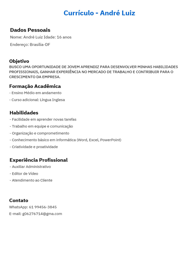 Curriculo Andre Luiz Jovem Aprendiz (1).PDF 20250201 113310 0000 | PDF