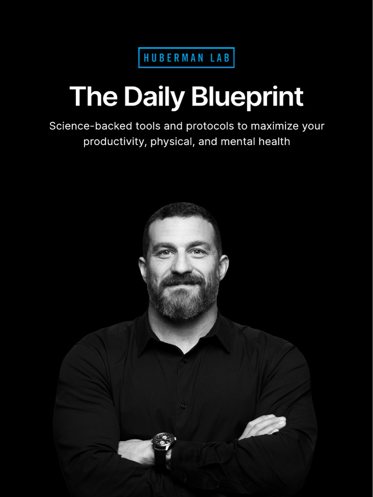 The Daily Blueprint | PDF