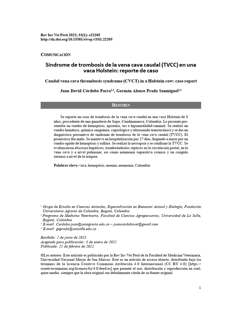 Síndrome de Trombosis de La Vena Cava Caudal (TVCC) en Una Vaca Holstein: Reporte de Caso | PDF ...