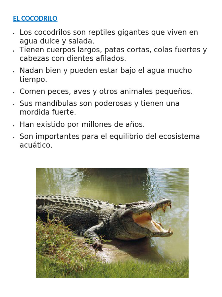 El Cocodrilo | PDF