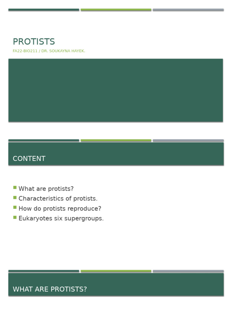 Protists: Characteristics & Reproduction | PDF