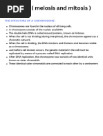Amoeba Sisters Meiosis Overview | PDF | Meiosis | Chromosome