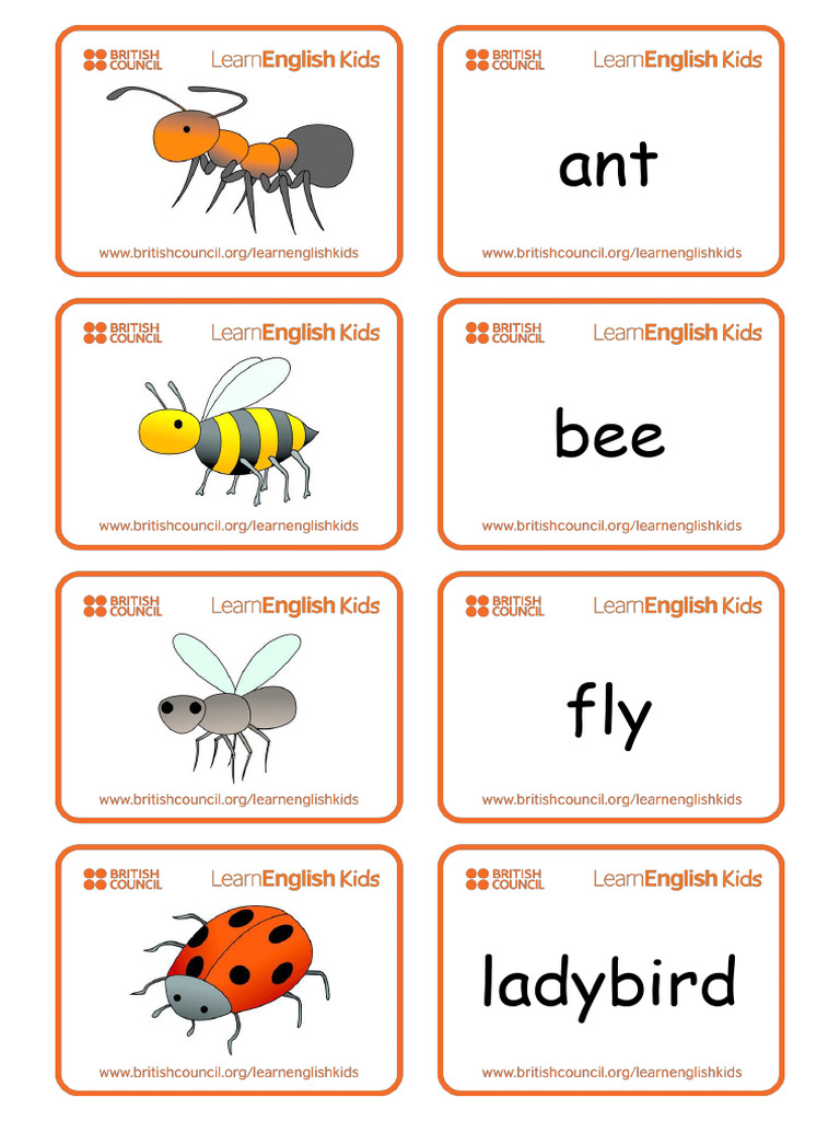 Copia de Flashcards-Bugs | PDF