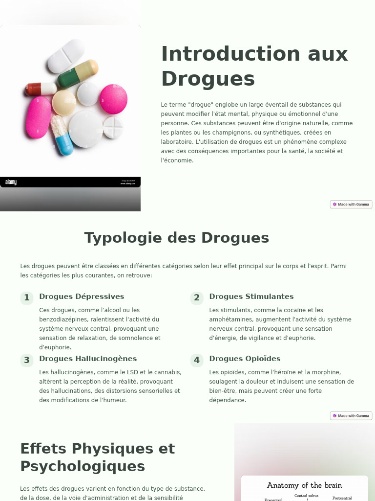 Introduction Aux Drogues | PDF | Médicaments | Hallucinogène