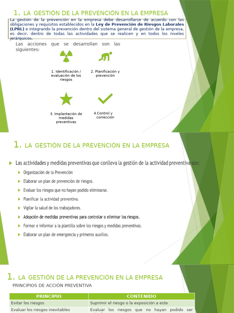 Unidad 2 - La Gestion de La Prevencion | PDF | Business