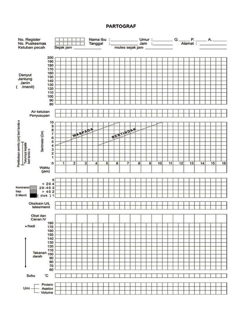 Partograf-Kosongpdf-Pdf 4 | PDF