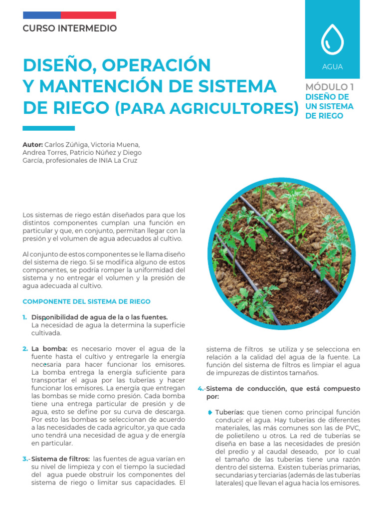 Diseño Sistema de Riego Imprimir | PDF | Riego | Agua