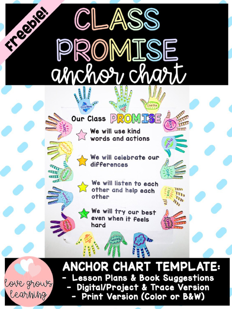 Classroom Promise | PDF