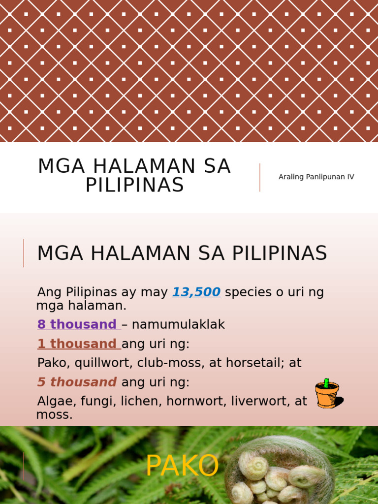 Mga Halaman Sa Pilipinas | PDF