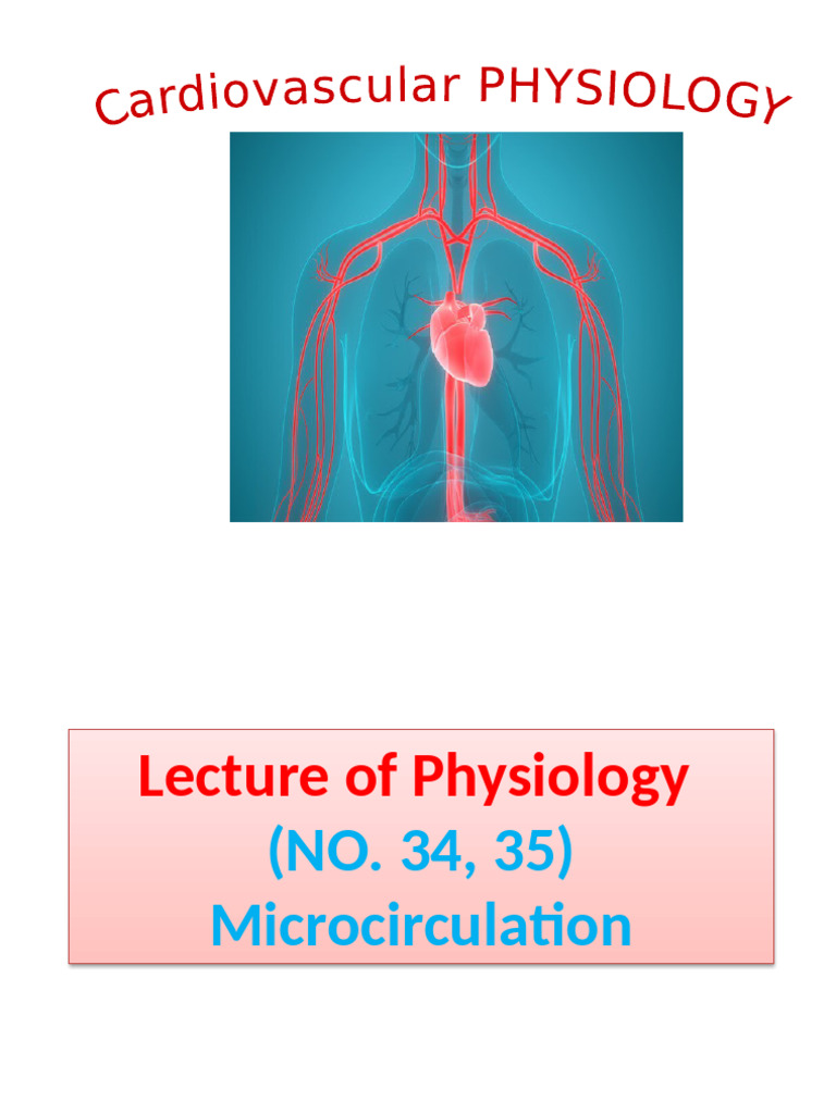 34 35 CVS L 34,35 Physiology | PDF | Coronary Circulation | Vein