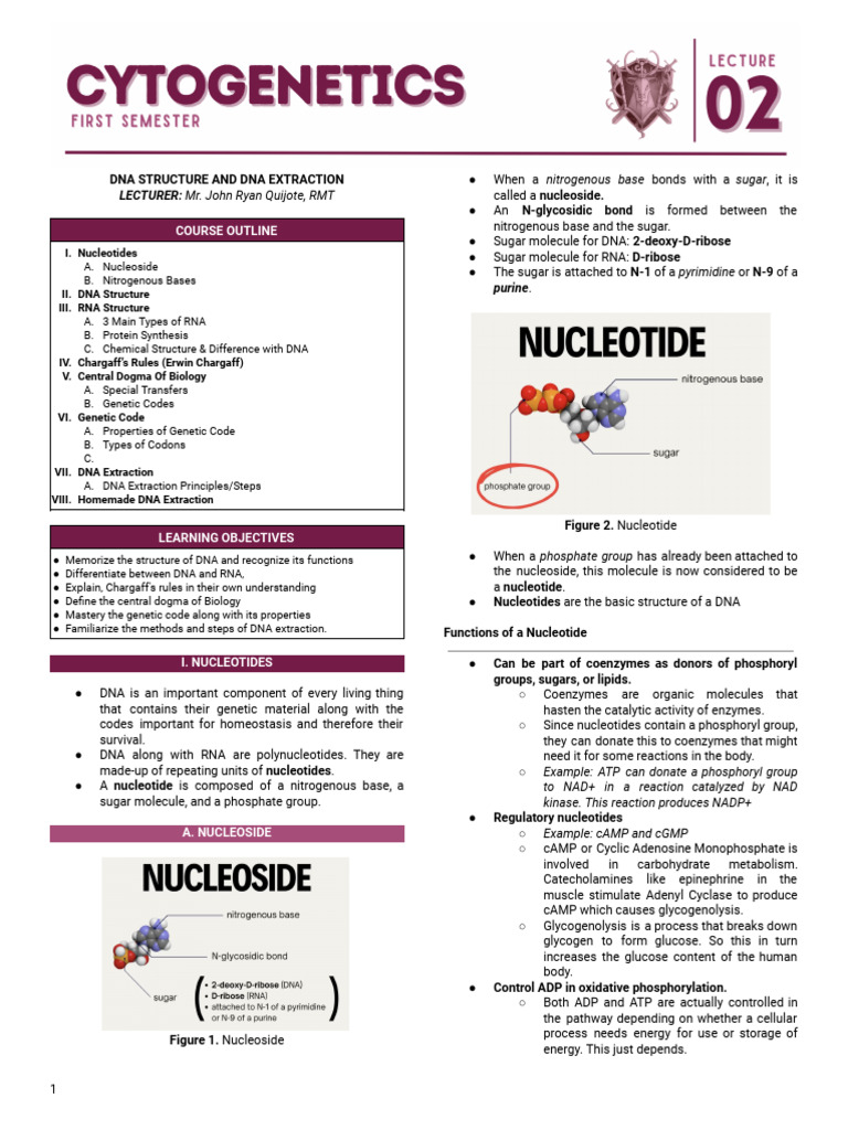 Cyto_lec 2_dna Structure and Dna Extraction | PDF | Directionality ...