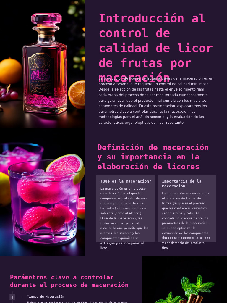 Introduccion Al Control de Calidad de Licor de Frutas Por Maceracion | PDF