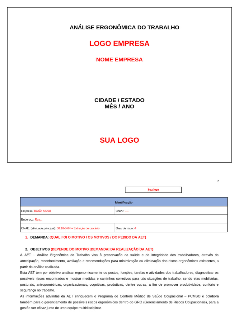 Modelo Aet - em Branco Matriz | PDF