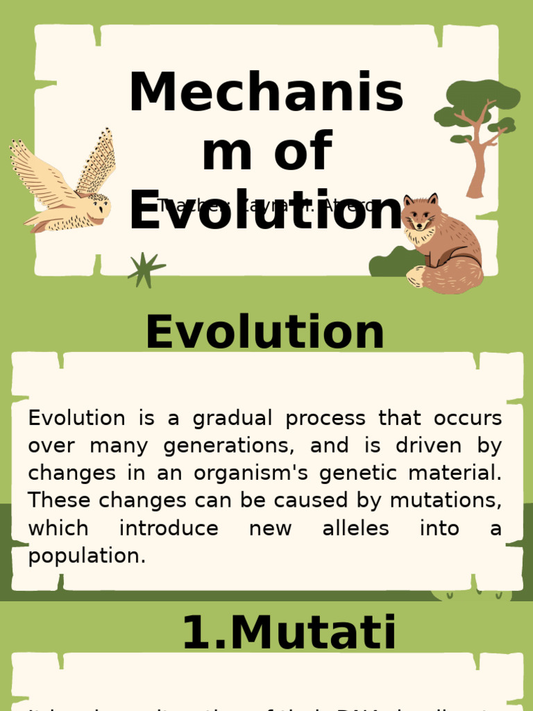 Mechanisms of Evolution Explained | PDF | Evolution | Gene