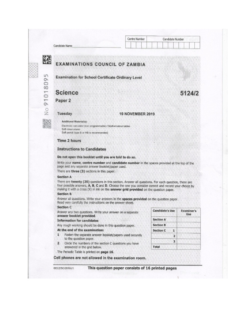 Science p2 2019 | PDF