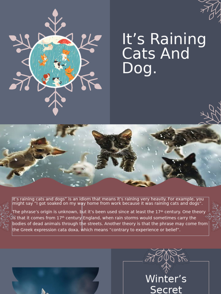 Chapter 15 It's Raining Cat's and Dogs | PDF | Cloud | Atmosphere Of Earth