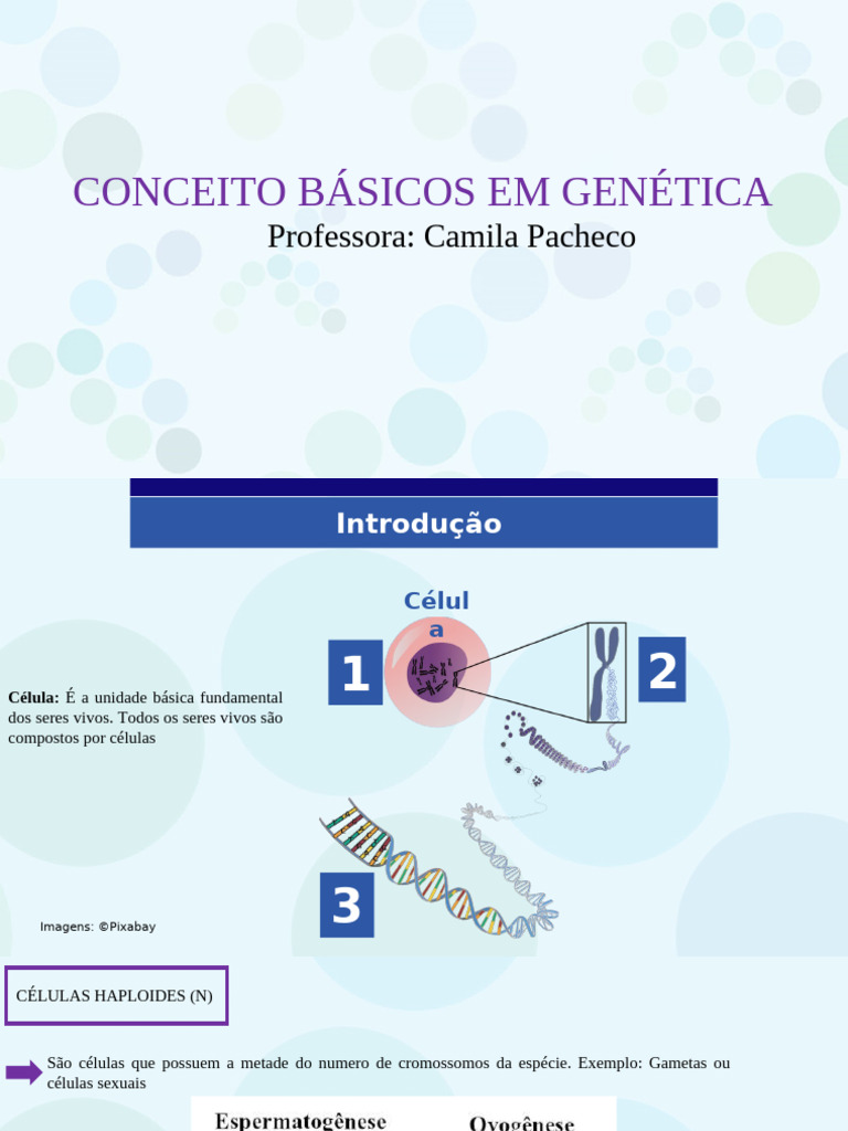 Aula Conceitos Básicos de Genetica | PDF