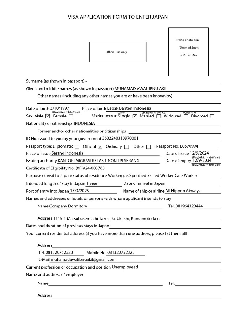 Form Visa | PDF | Travel Visa | Prostitution