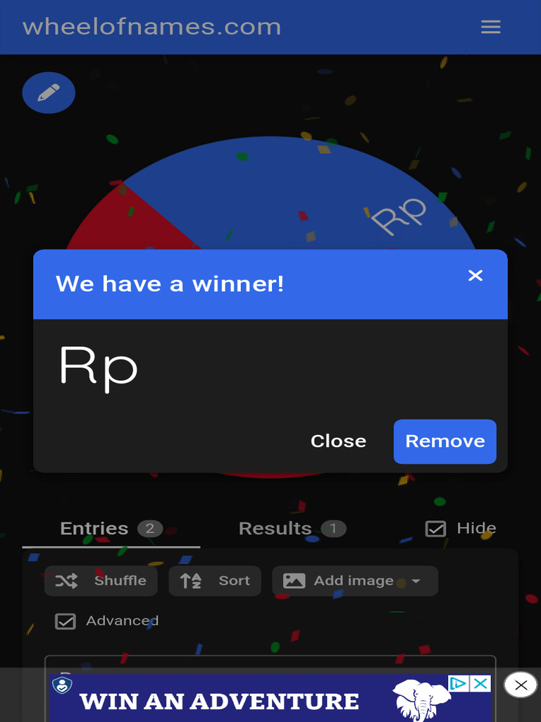 Wheel of Names Random Name Picker | PDF